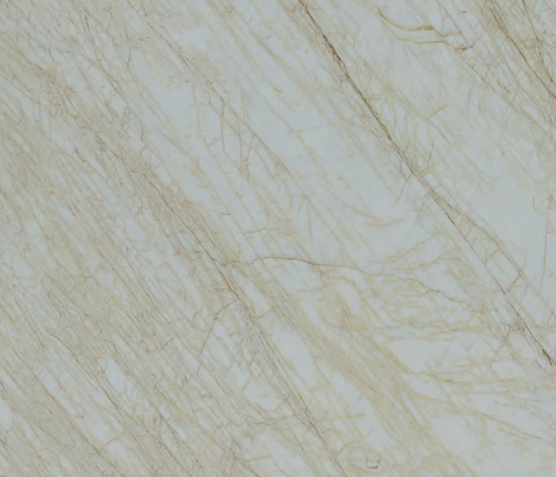 Golden Spider - Iconic D